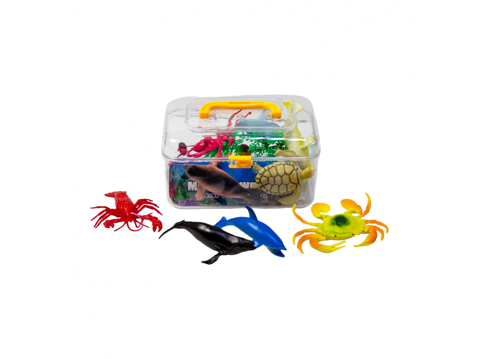 Sea animal box