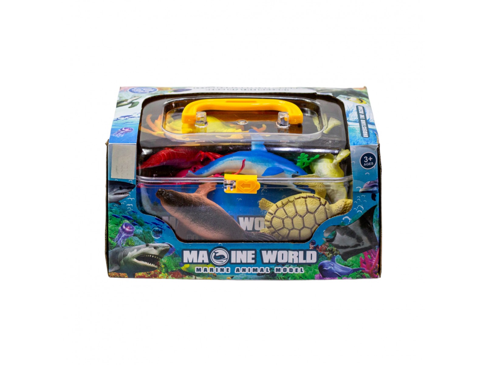 Sea animal box
