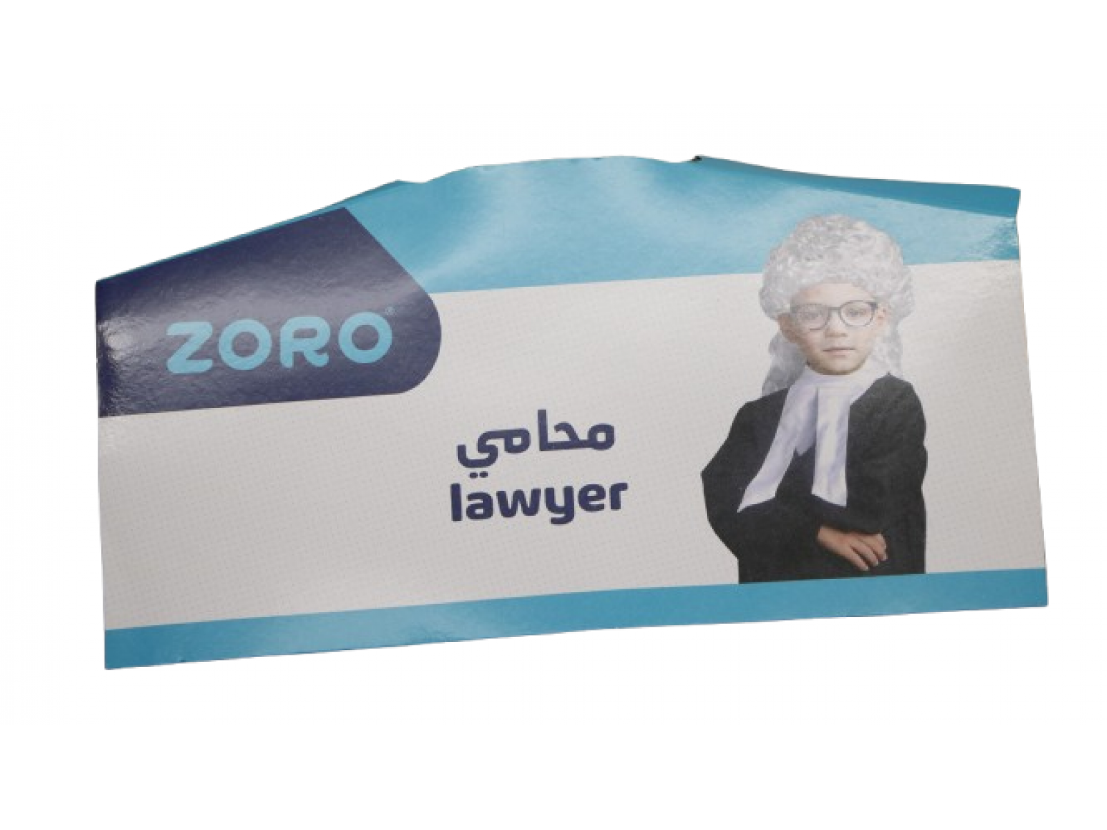 Judge fancy dress costume